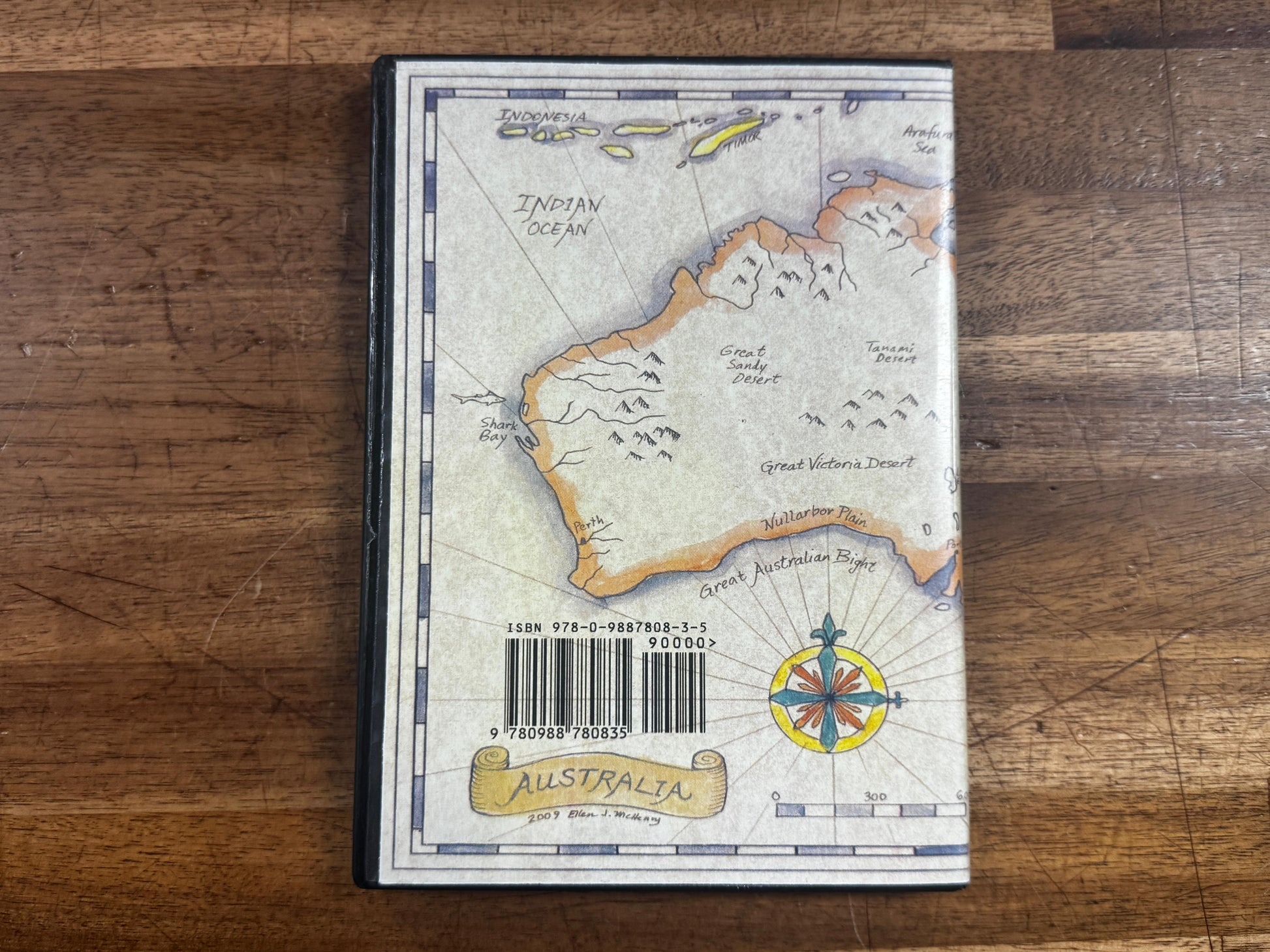 Ellen McHenry's Mapping the World with Art DVD Set - Educational ...