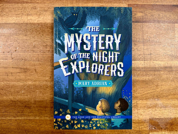 TGTB Level 4 Reader: Mystery of the Night Explorers - Comprehensive ...
