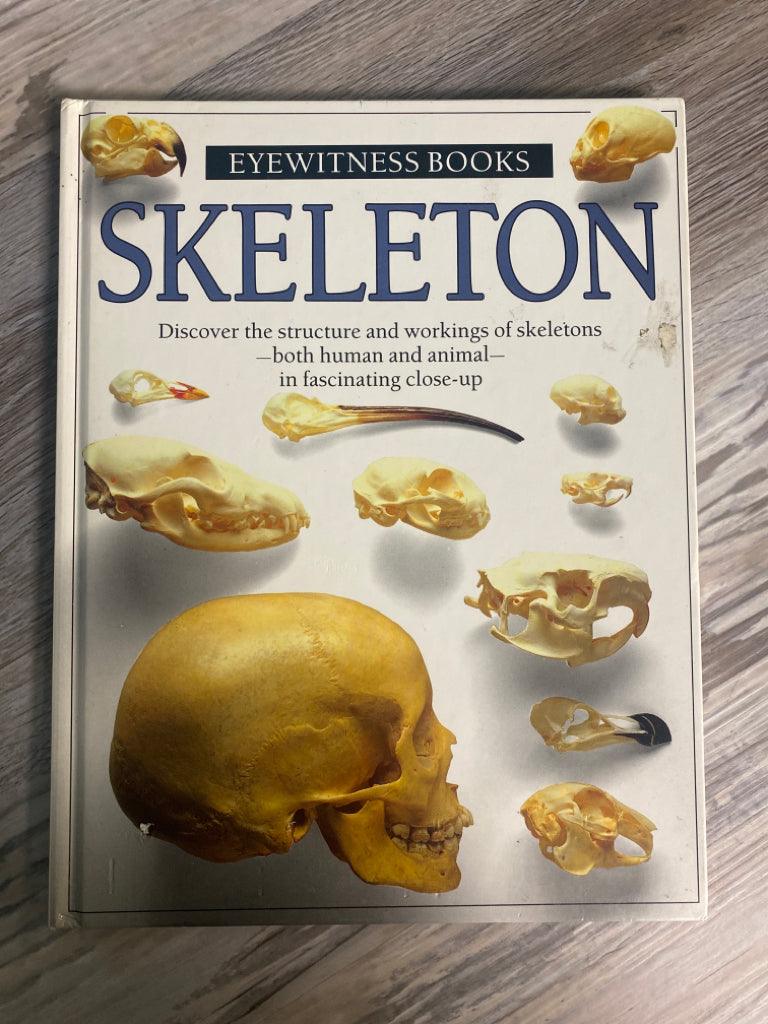 Eyewitness Guides: Skeleton – First Homeschool